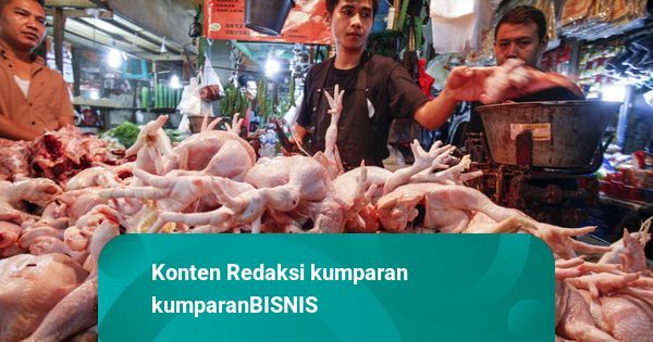 Peternak Ayam Ungkap Alasan Tren Harga Terus Naik Jelang Nataru: Demand Tinggi! | kumparan.com